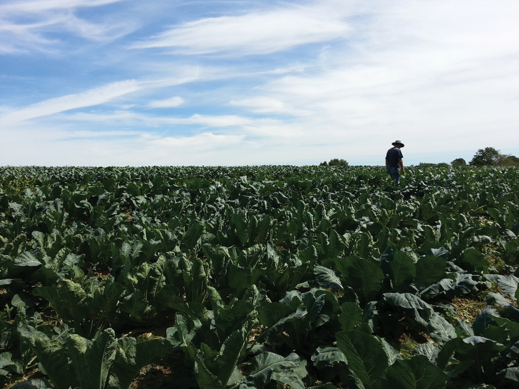 The Best Locally Sourced and Farm Fresh Foods in Fairfield and ...