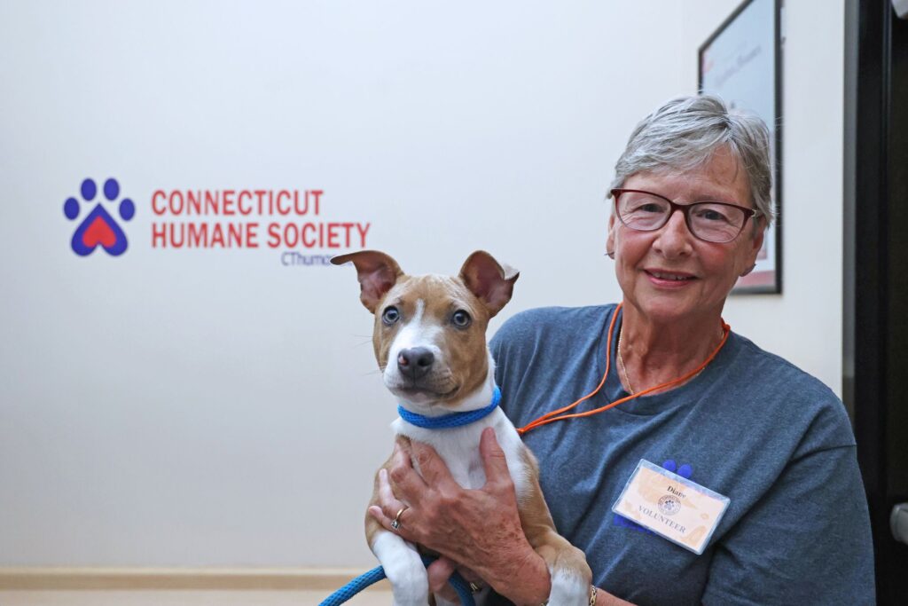 Giving Back: Pets find a voice and a home at the Connecticut Humane ...